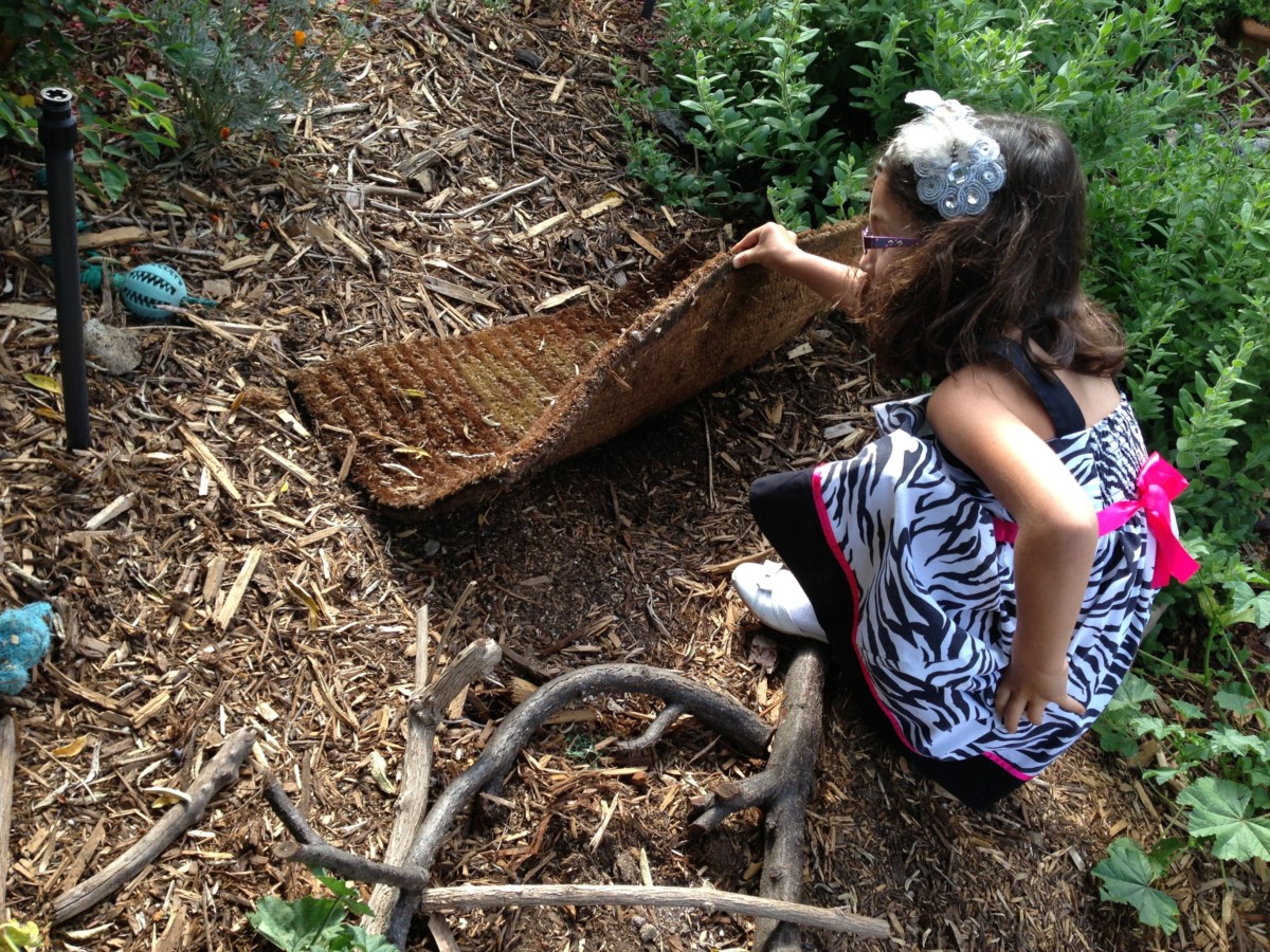 Nature Play at Home - Rooted In Place Landscape Architecture & Consulting