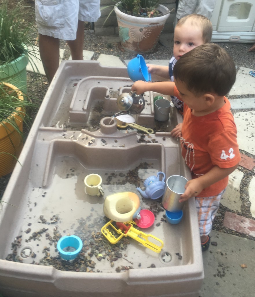 Nature Play at Home - Rooted In Place Landscape Architecture & Consulting